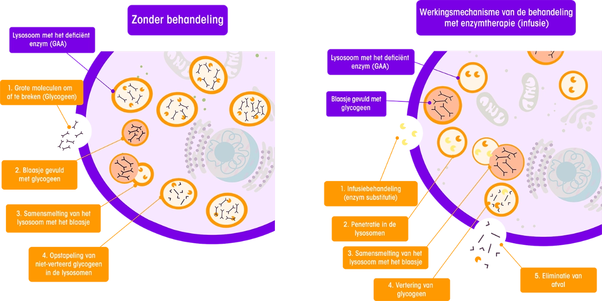 Behandelingen | Lysomed.be